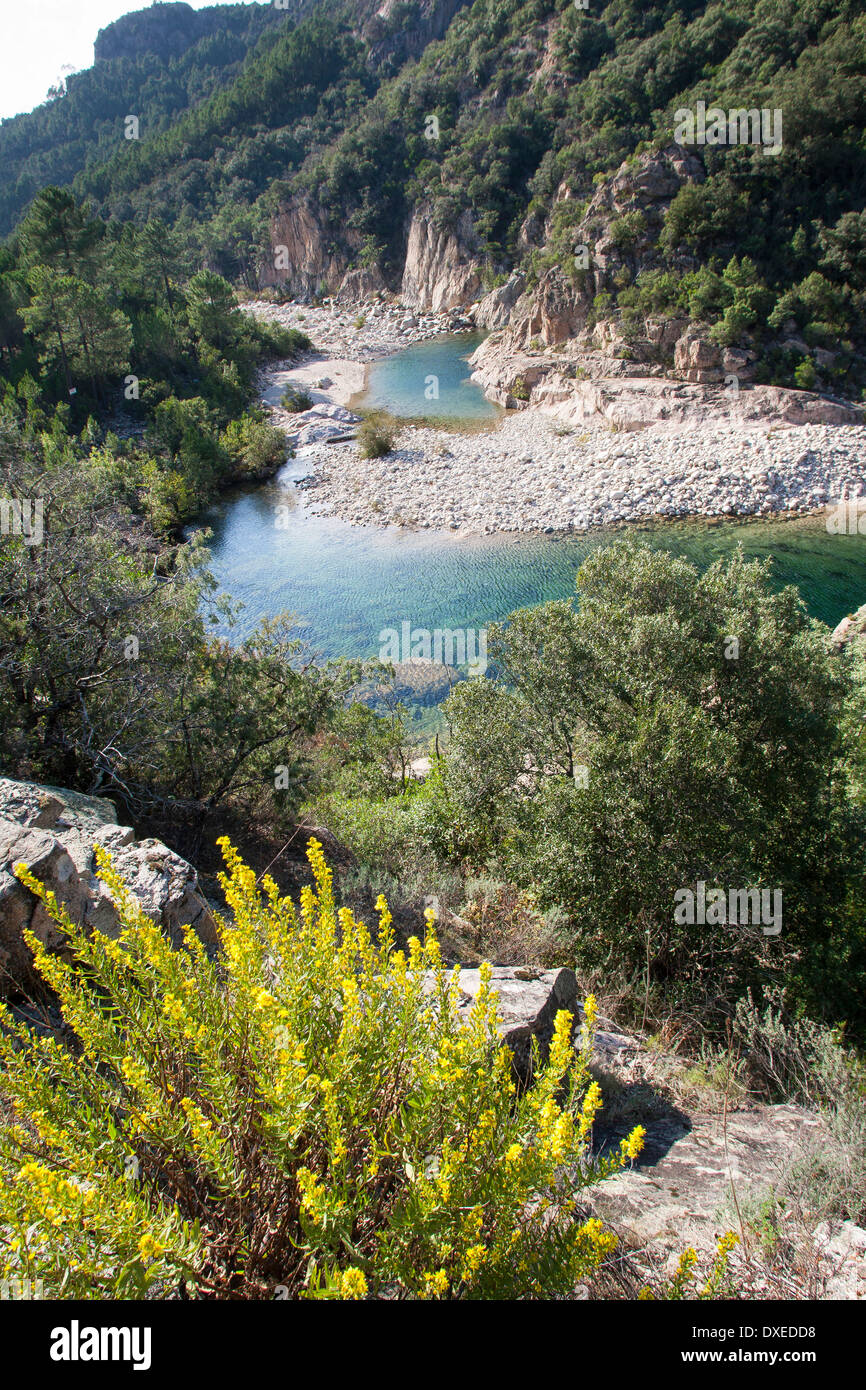 Brook rivulet hi-res stock photography and images - Alamy