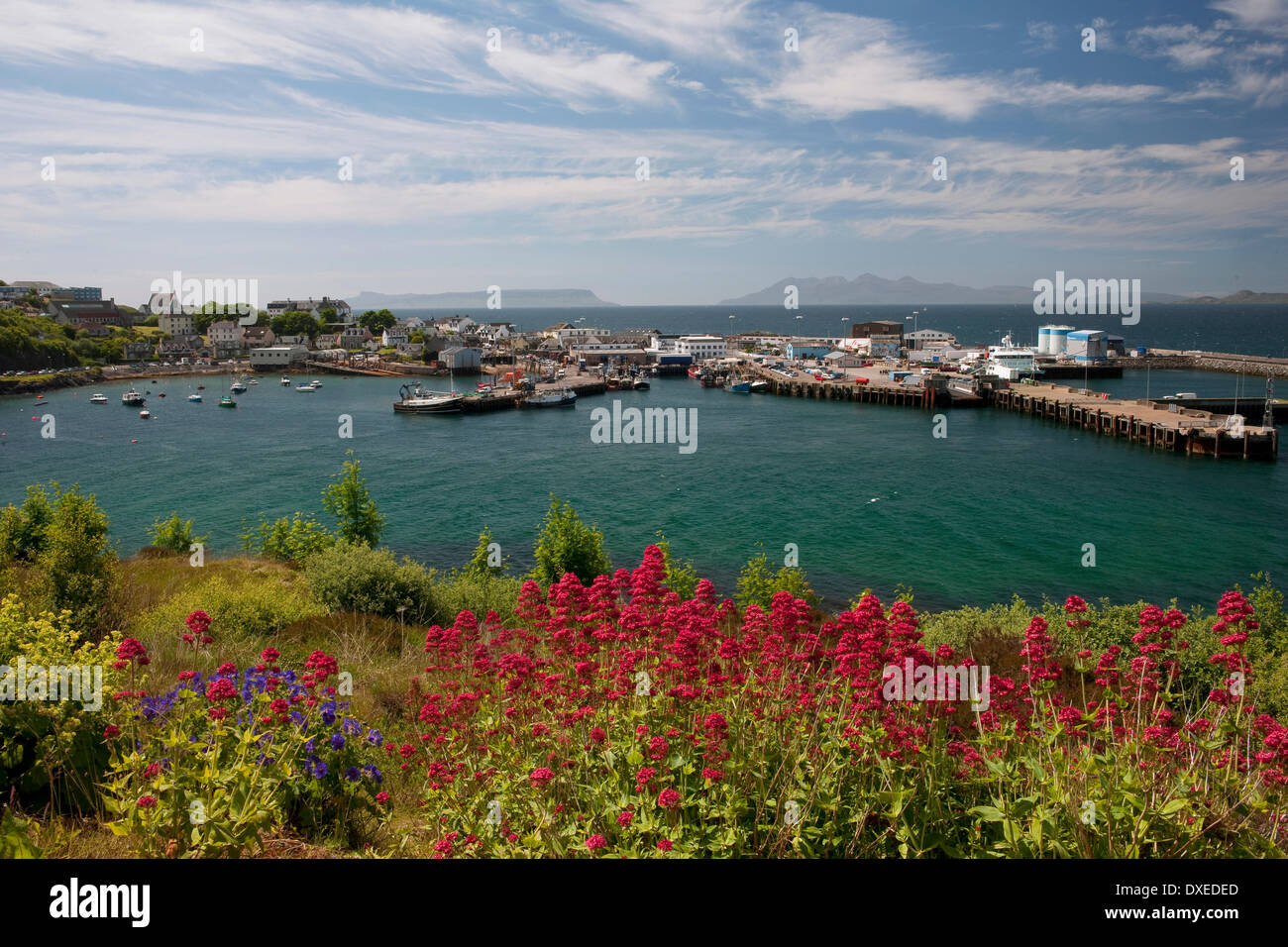 Mallaig harbour n w highlands hi-res stock photography and images - Alamy