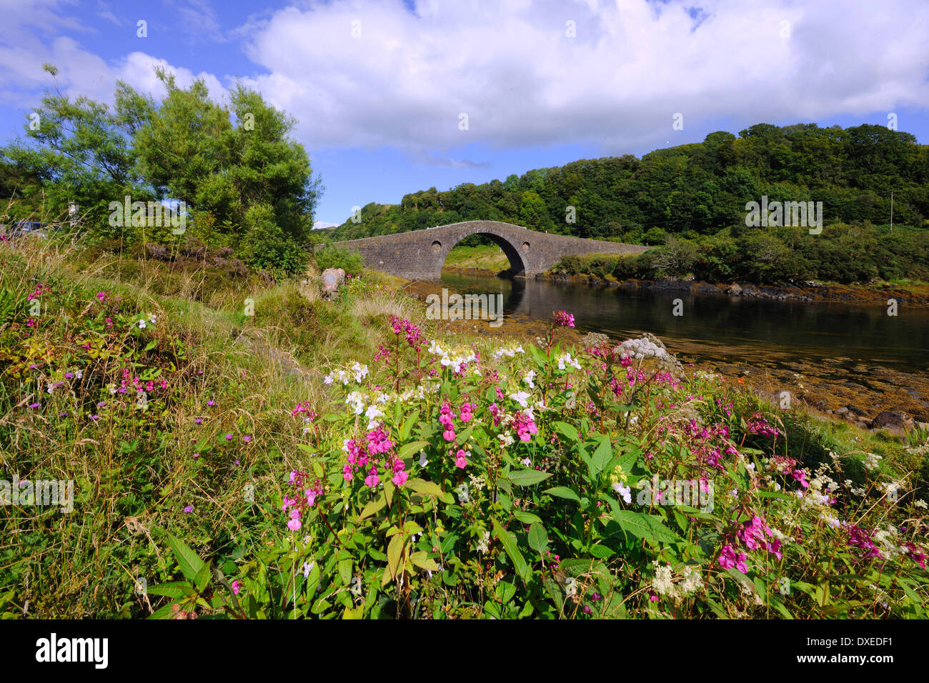 Summer view of clachan bridge seil hi-res stock photography and images ...