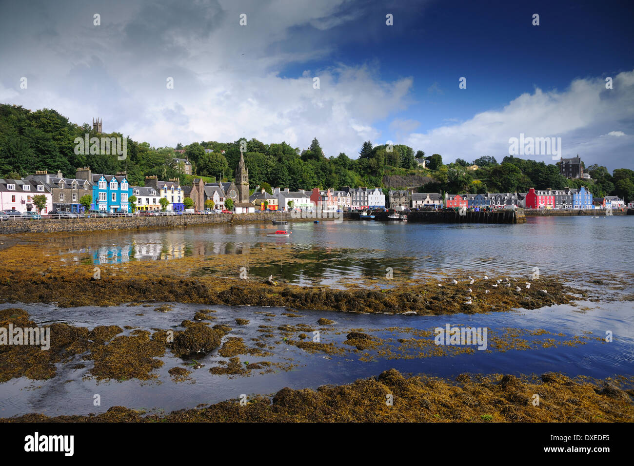 Tobermory, Isle of Mull, Argyll Stock Photo - Alamy Tobermory, Isle of Mull, Argyll Stock Photo - Alamy