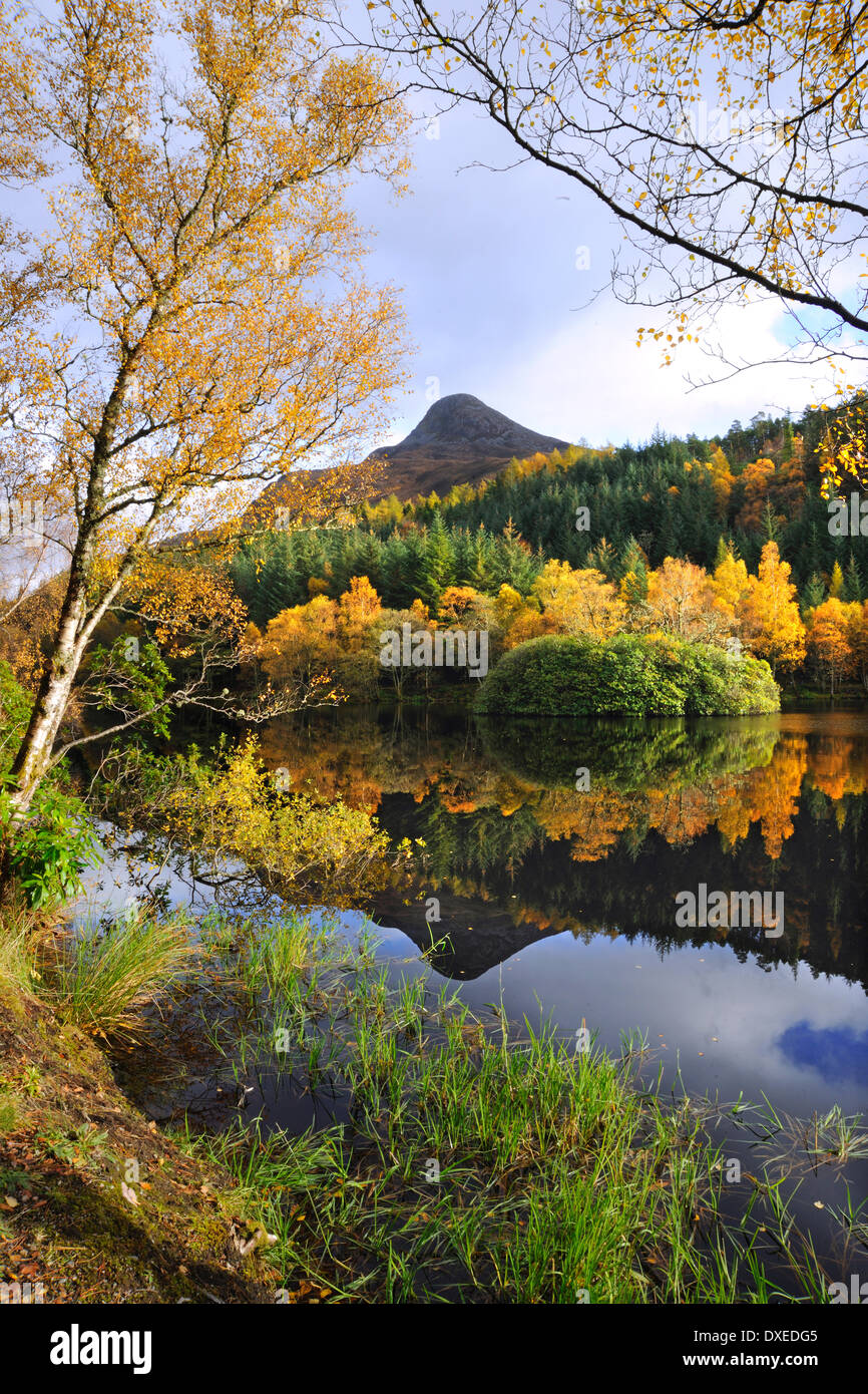 Autumn scene on the lochan trail in glencoe with the pap of glencoe ...