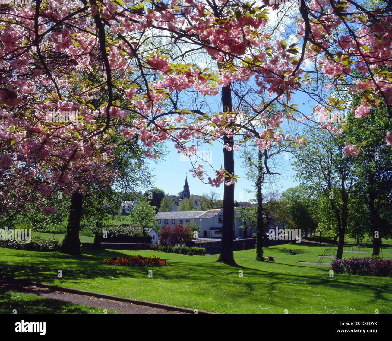 Eaglesham hi-res stock photography and images - Alamy