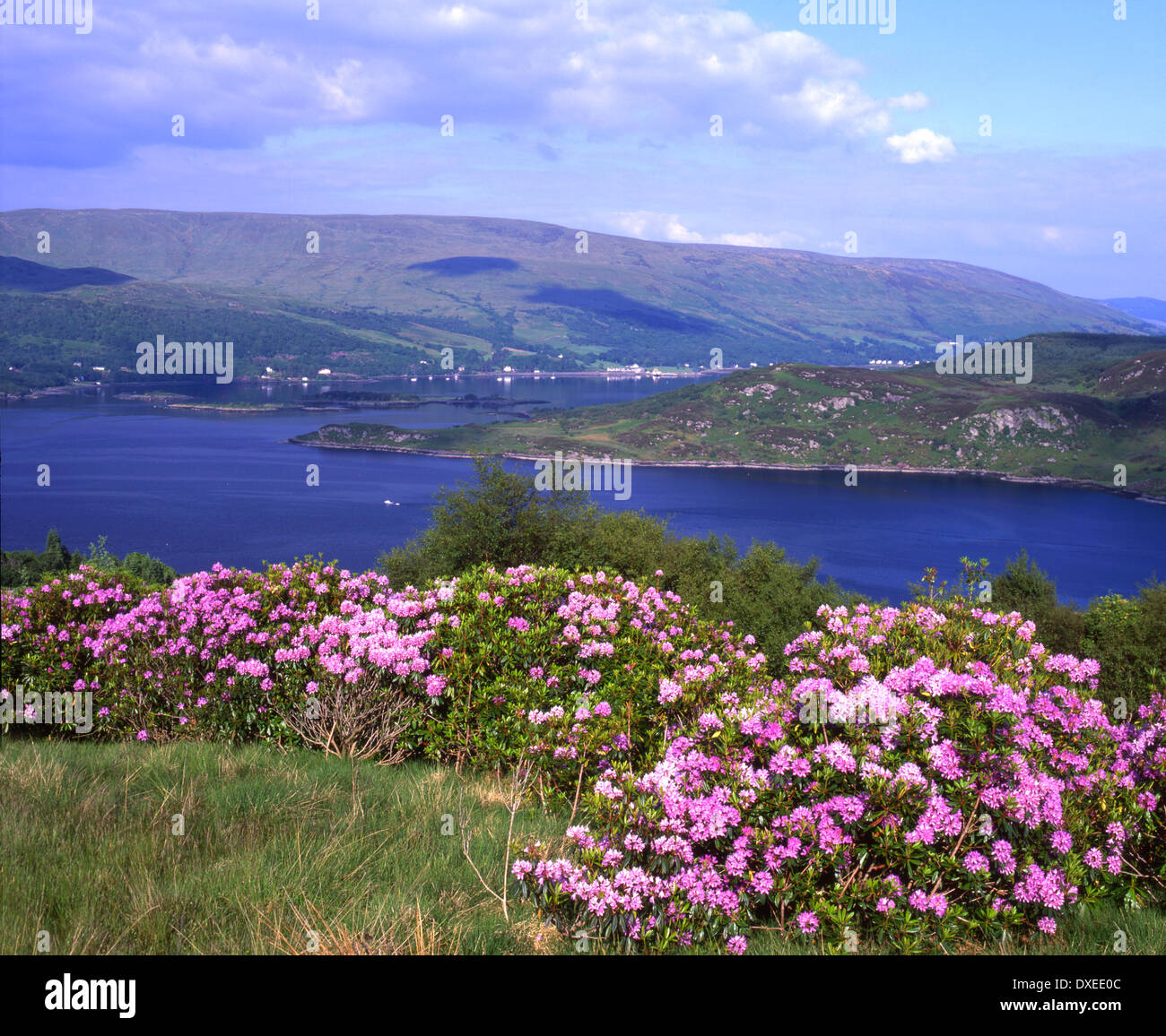 Colintraive ferry hi-res stock photography and images - Alamy