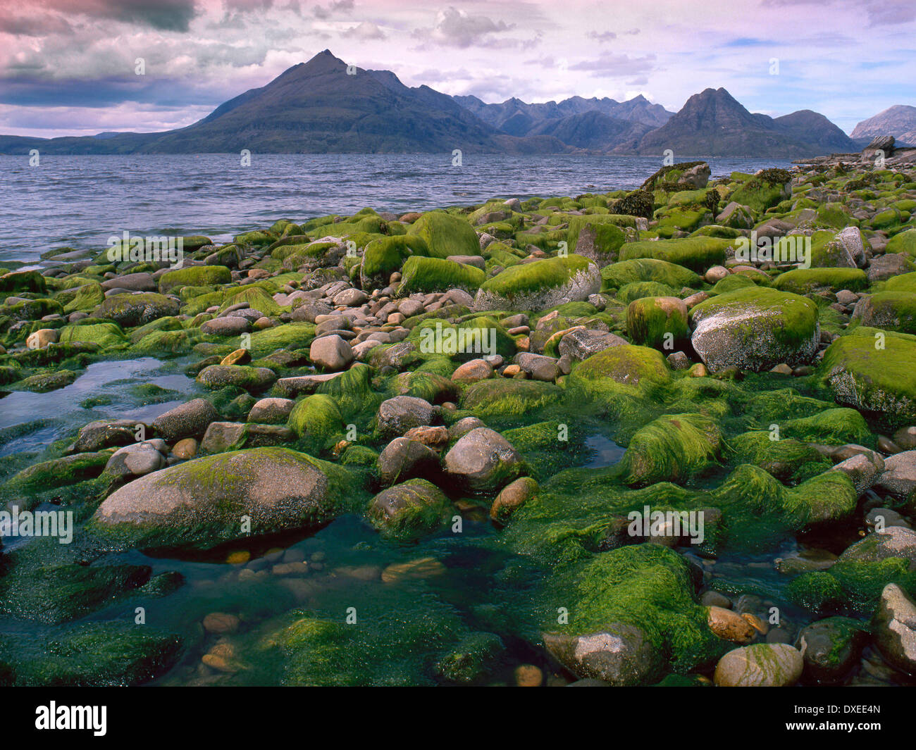 Elgol, Isle of Skye Stock Photo - Alamy