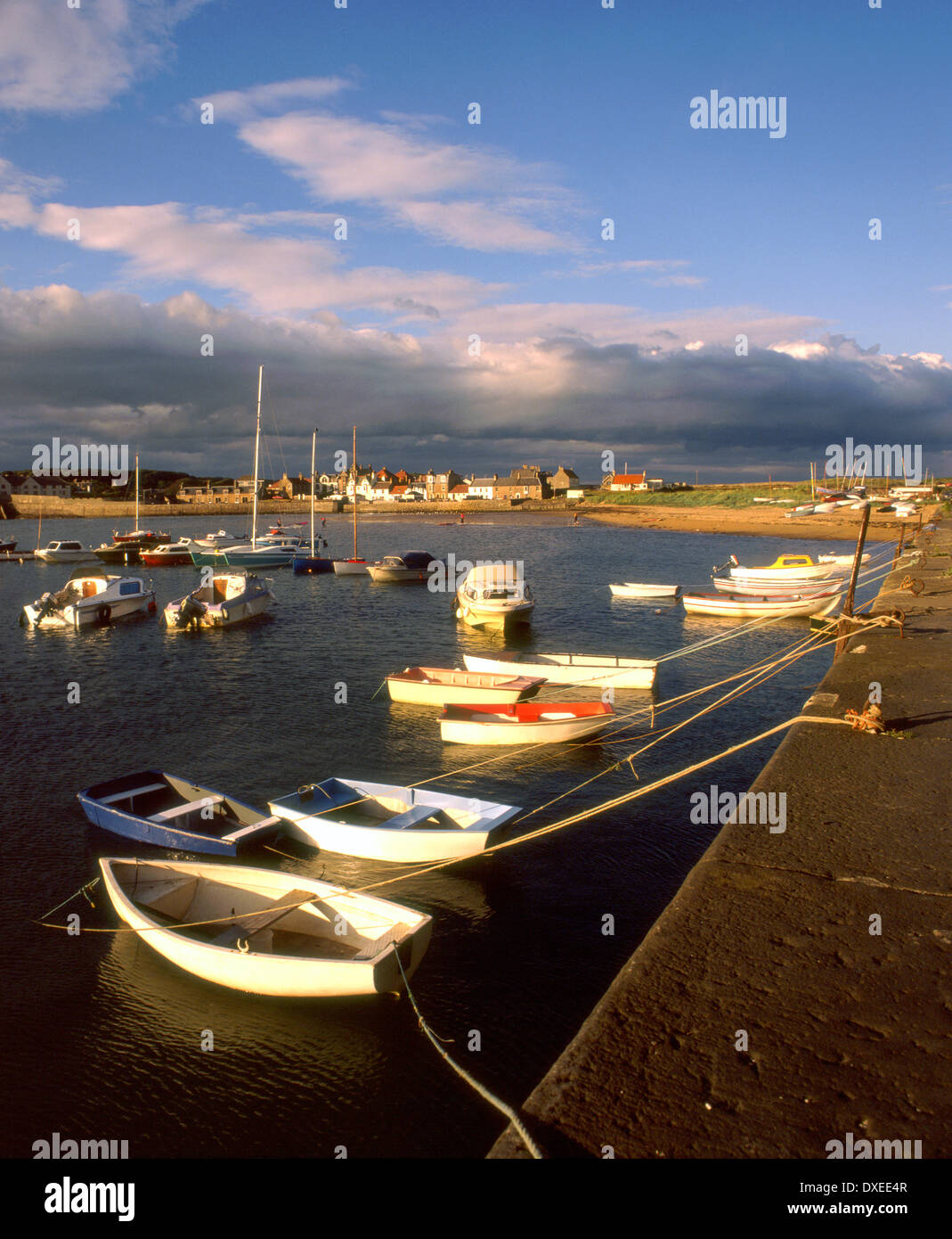 Evening light over Elie, Fife Stock Photo - Alamy