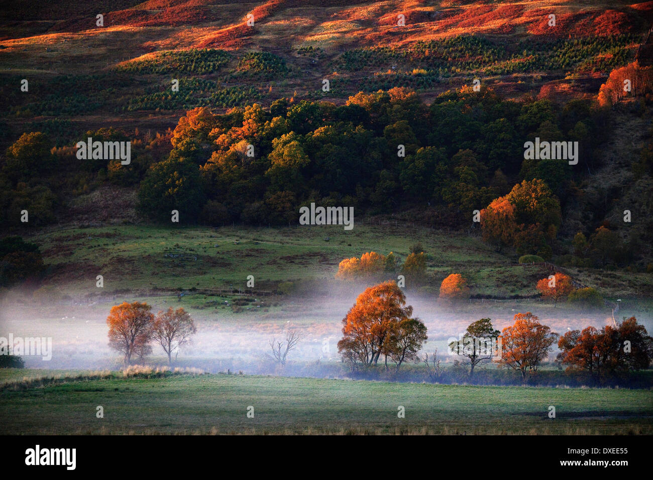 Seasons of mists hi-res stock photography and images - Alamy