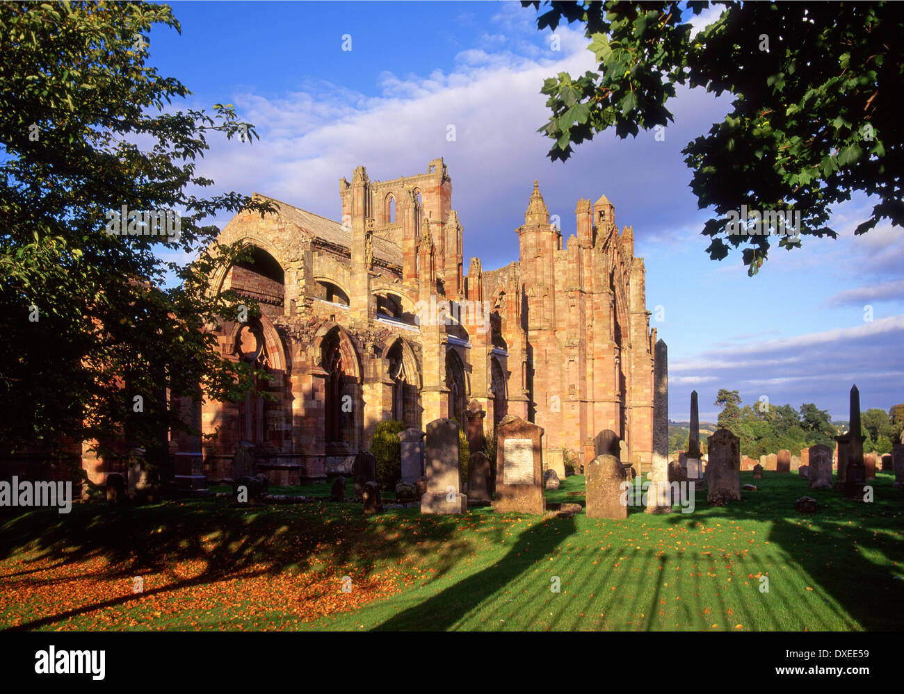 Evening light hits the ruins of melrose abbey,melrose,scottish borders ...