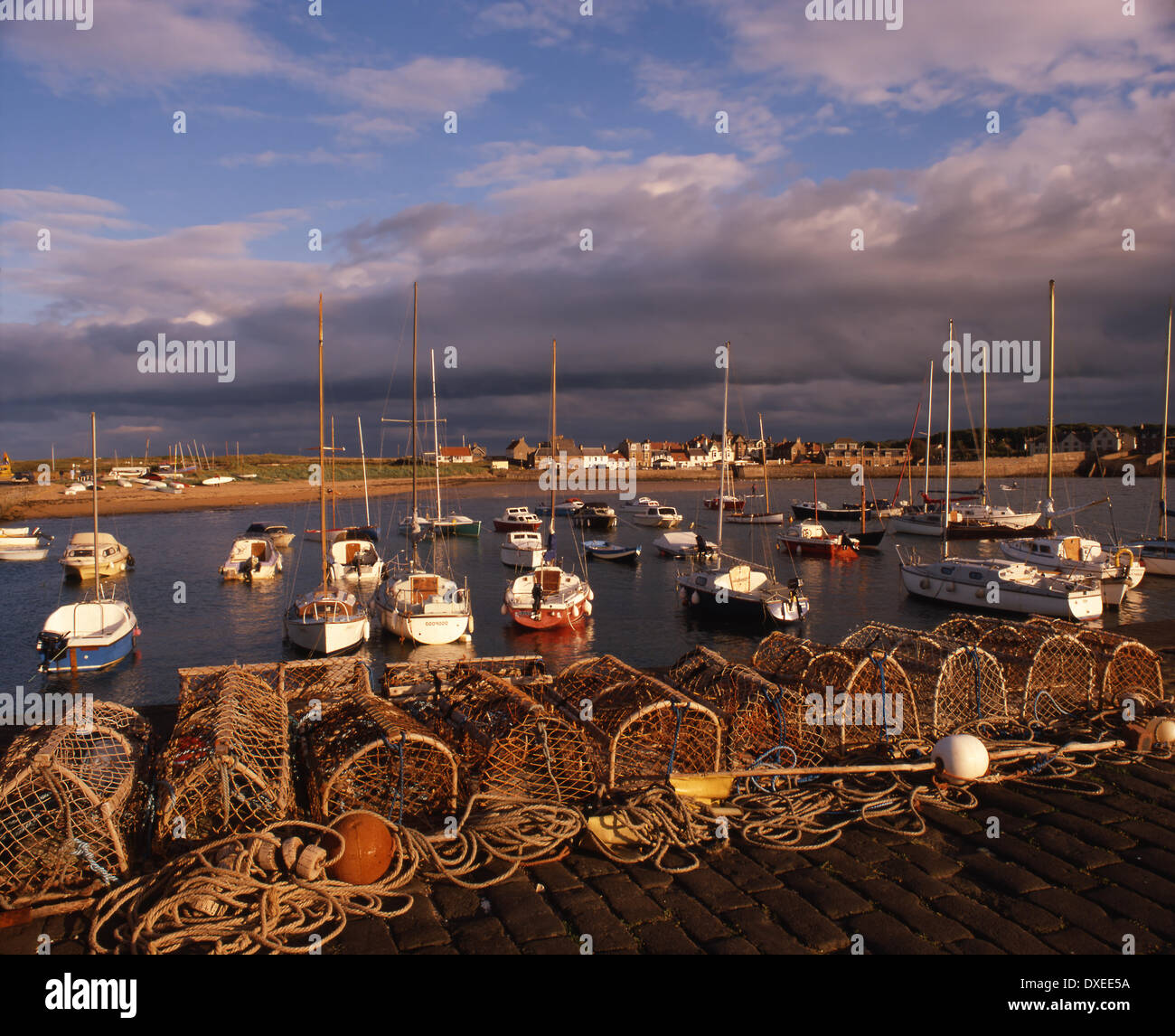 Elie harbour scotland hi-res stock photography and images - Alamy