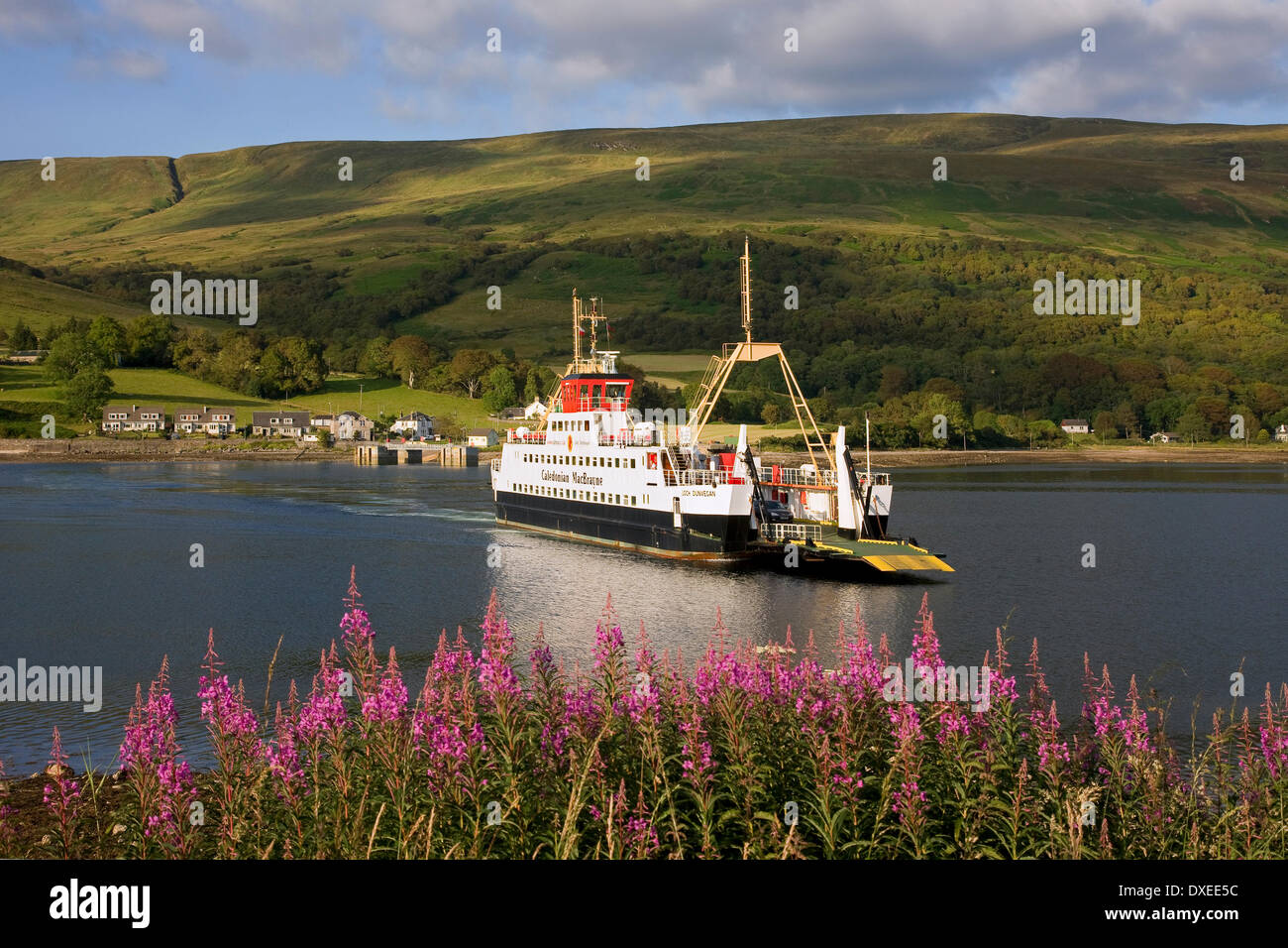 Bute Ferry arrives from Colintrive Argyll Stock Photo - Alamy