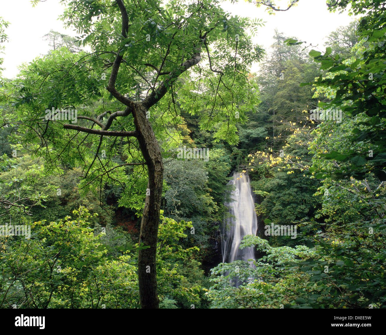 Falls of Acharn, south side of Loch Tay, Perthshire Stock Photo - Alamy