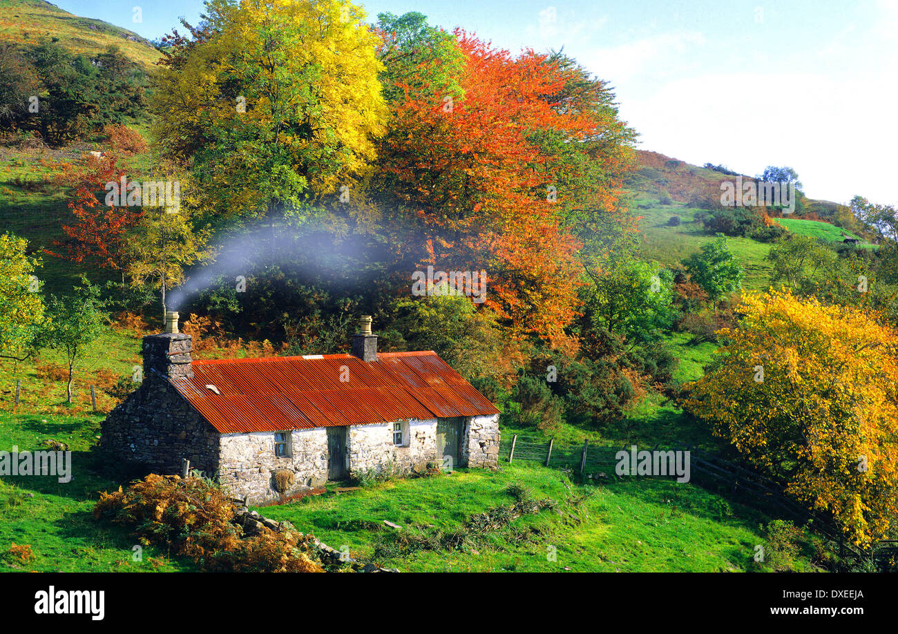 Scottish croft hi-res stock photography and images - Alamy
