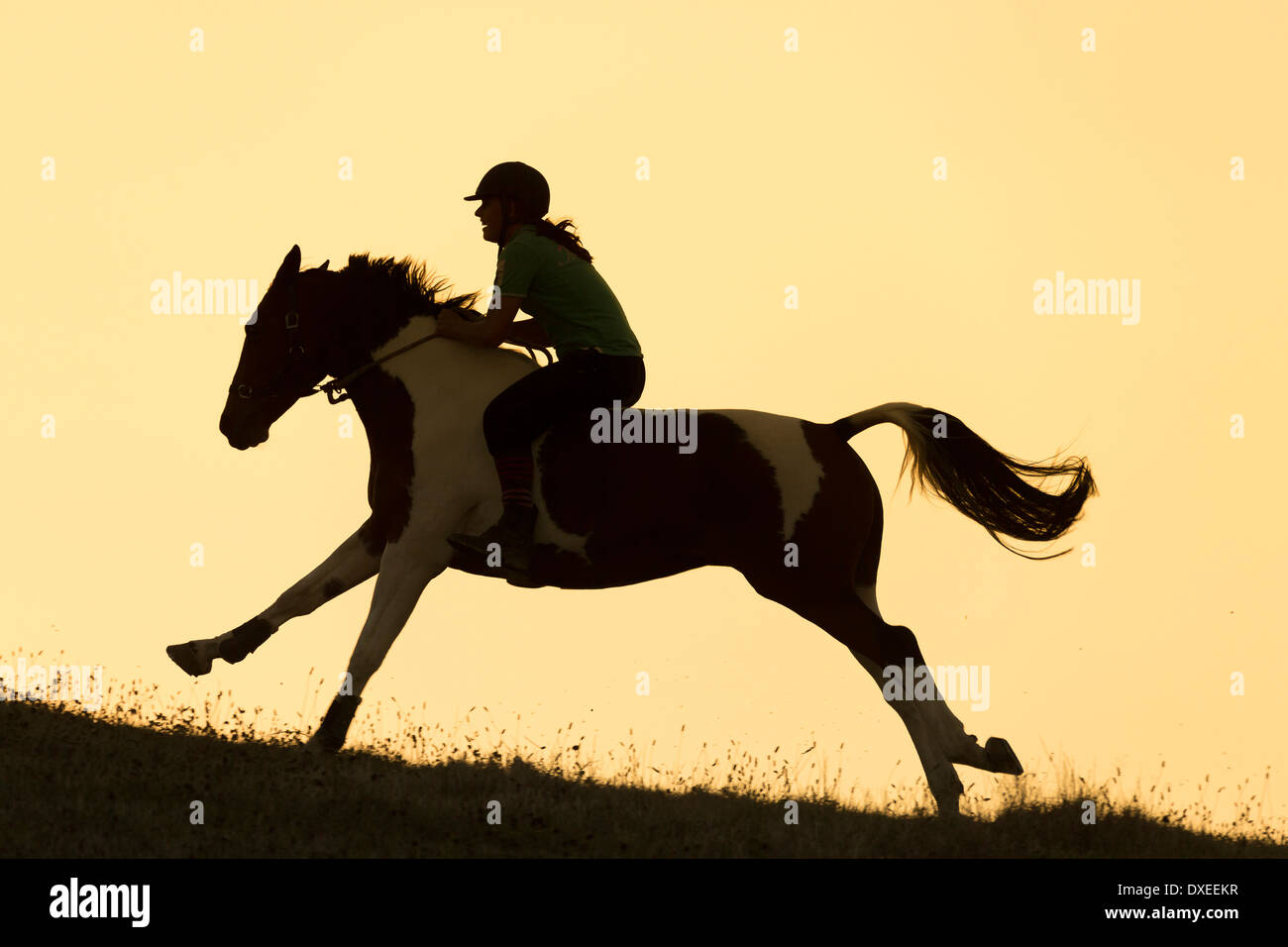 Silhouette Horse Rider Galloping On Stock Photos & Silhouette Horse ...