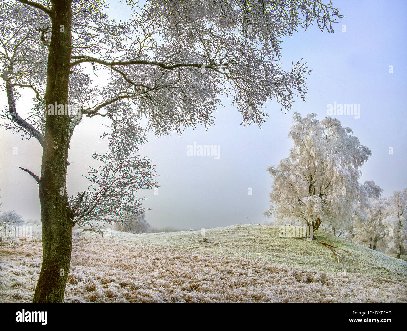 Frosty scene in glen dochart hi-res stock photography and images - Alamy