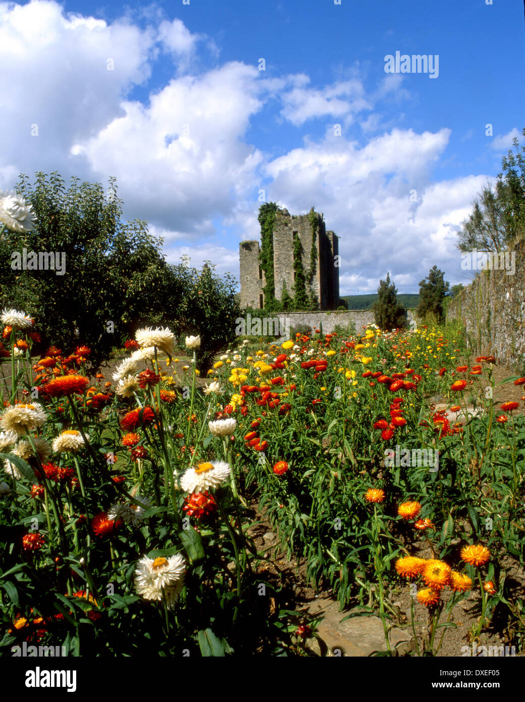 Beautiful gardens at castle kennedy near stranraer in Dumfries and ...