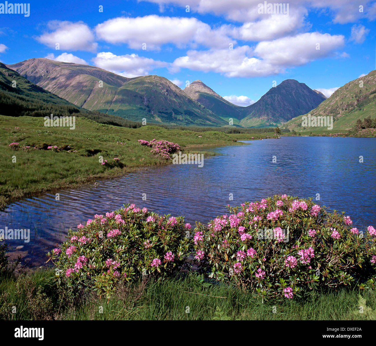 Springtime scene in Glen Etive, Argyll Stock Photo - Alamy