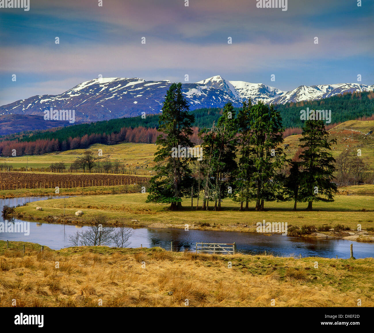 Glenmoriston High Resolution Stock Photography and Images - Alamy