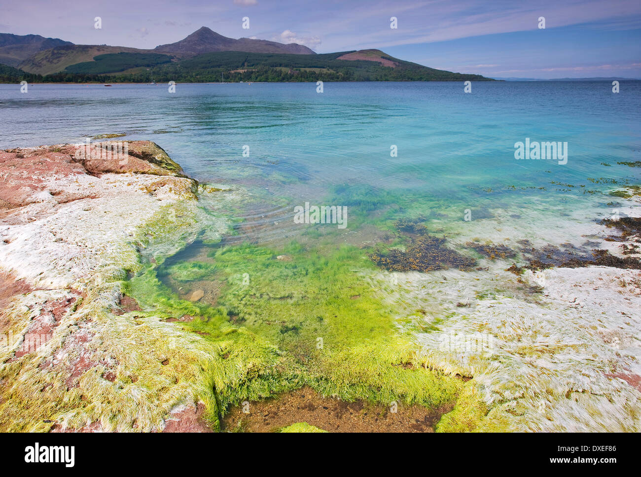 Summer view across Brodick bay towards Goatfell, Arran Stock Photo - Alamy