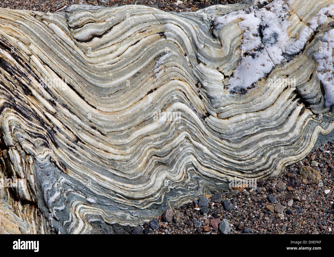 Phyllite hi-res stock photography and images - Alamy