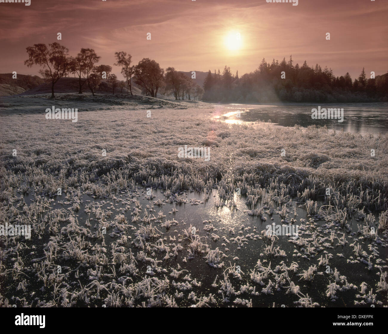 Newtonmore winter hi-res stock photography and images - Alamy