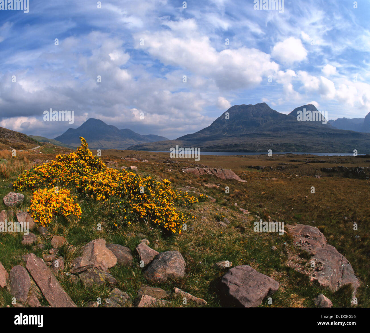 Inverpolly nature reserve, Scottish Highlands Stock Photo - Alamy