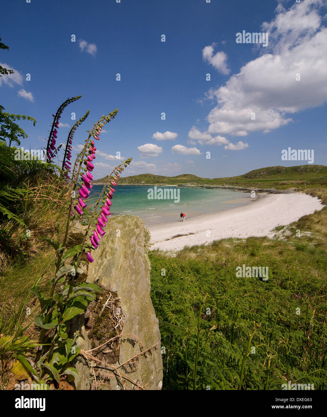 Gigha Stock Photos & Gigha Stock Images - Alamy