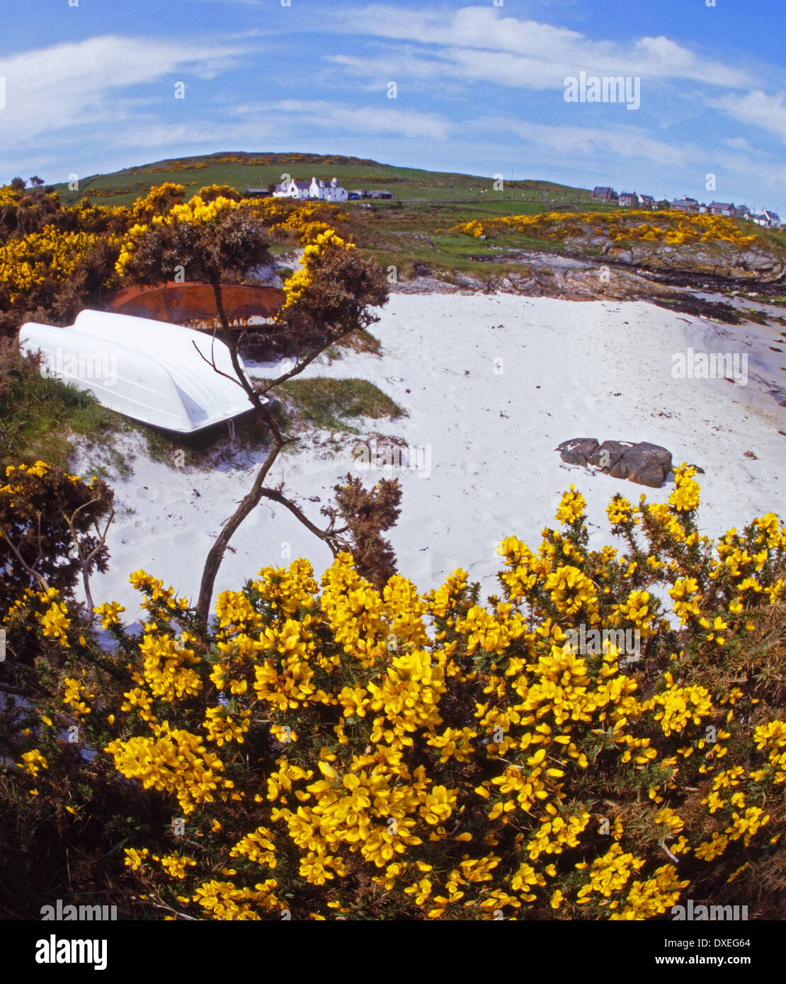 Springtime on the island of Gigha Argyll Stock Photo - Alamy