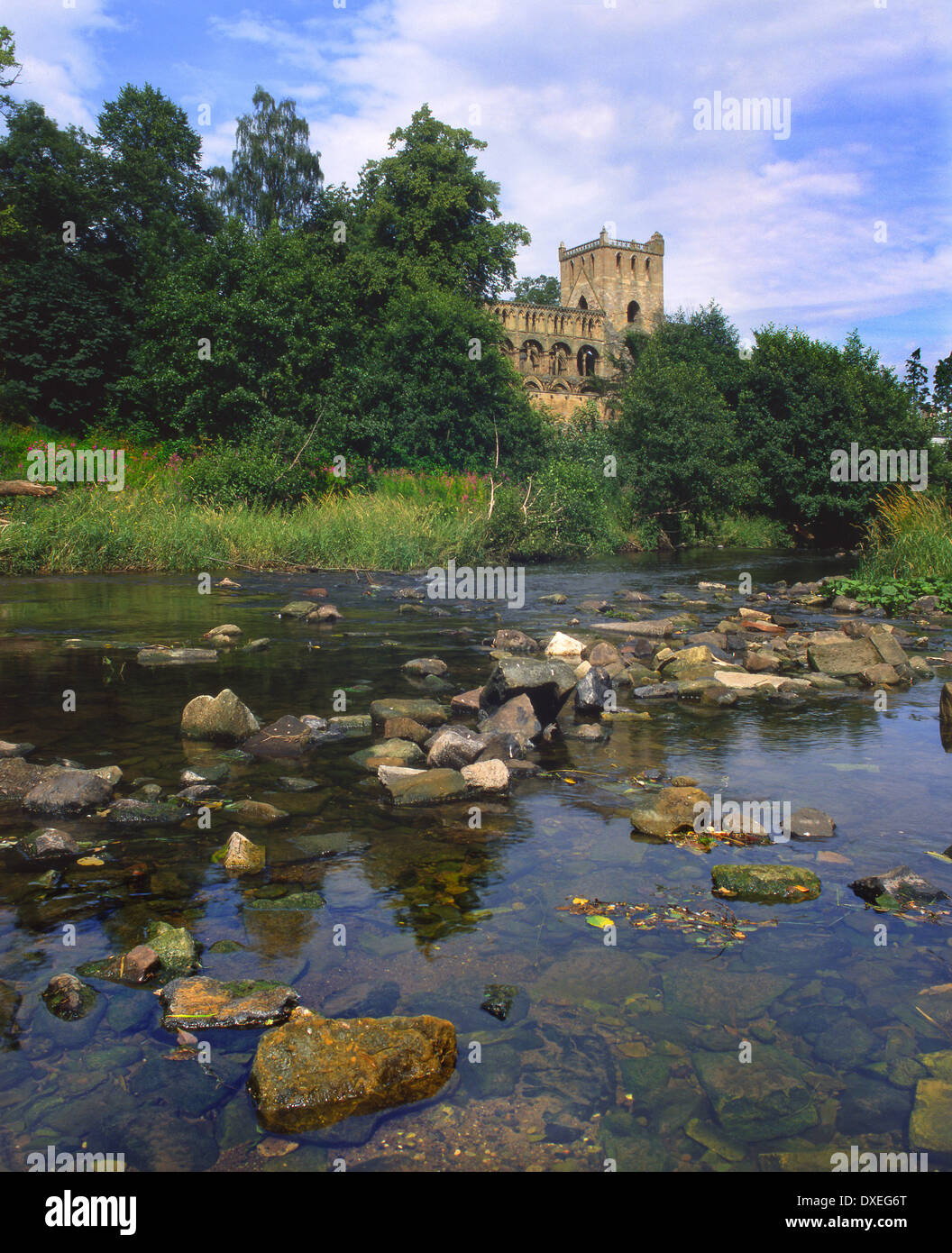 Jedburgh Abbey, Scottish Borders Stock Photo - Alamy