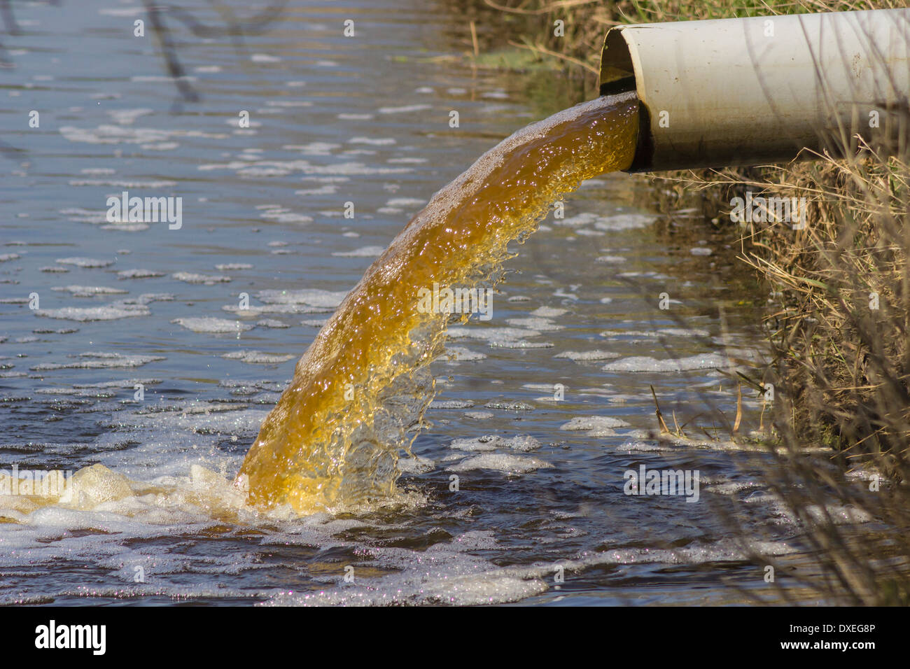 Water Outflow Pipe in the Somerset Levels, England, UK Stock Photo - Alamy