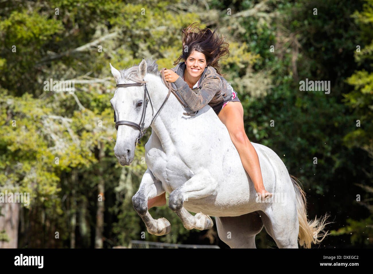 Thoroughbred. Bareback rider on a gray mare jumping over an obstacle ...
