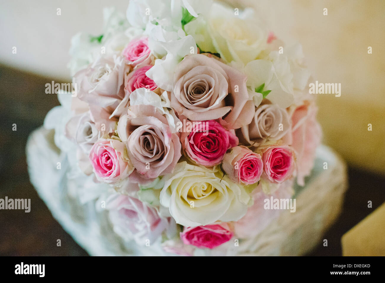Roses from above hi-res stock photography and images - Alamy