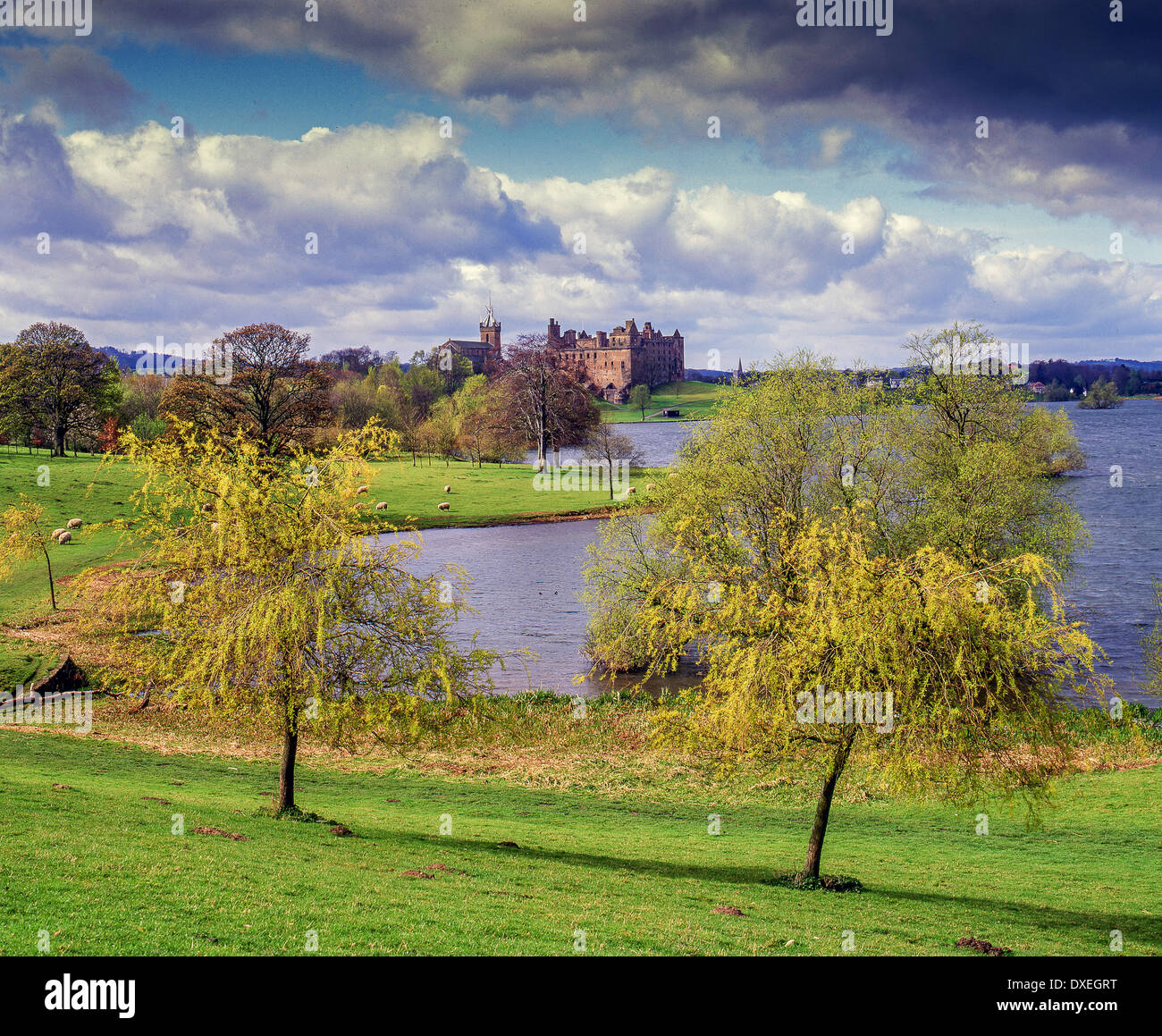 Summer view of Linlithgow Palace and Linlithgow Lake, West Lothian ...