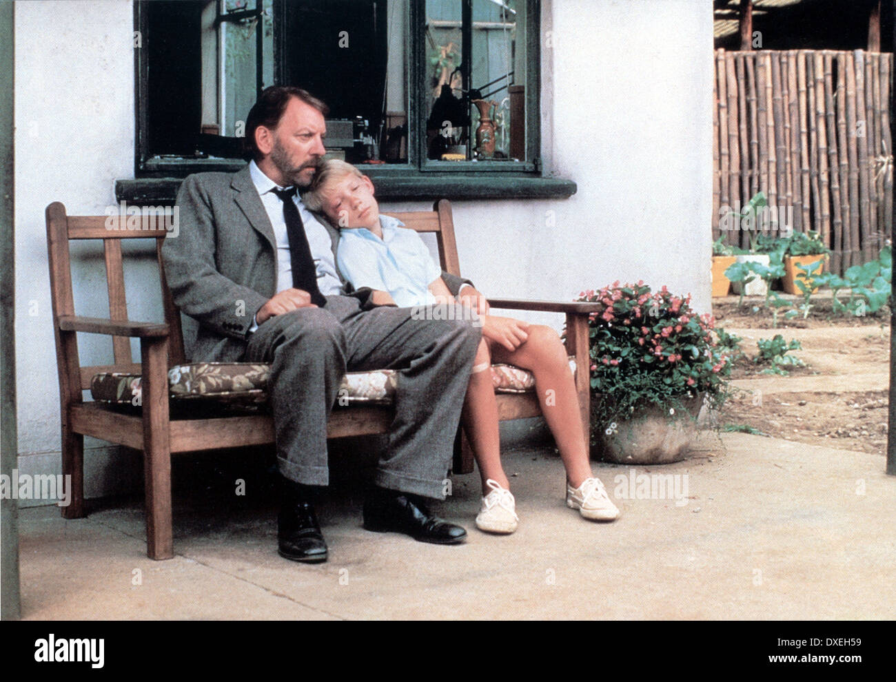 Rowen elmes hi-res stock photography and images - Alamy