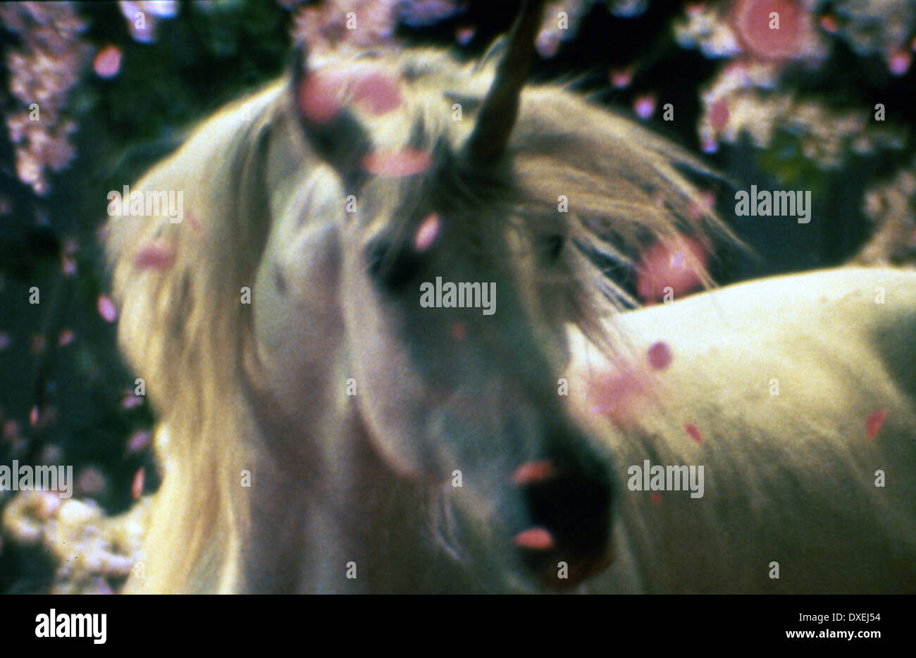 Legend 1985 hi-res stock photography and images - Alamy