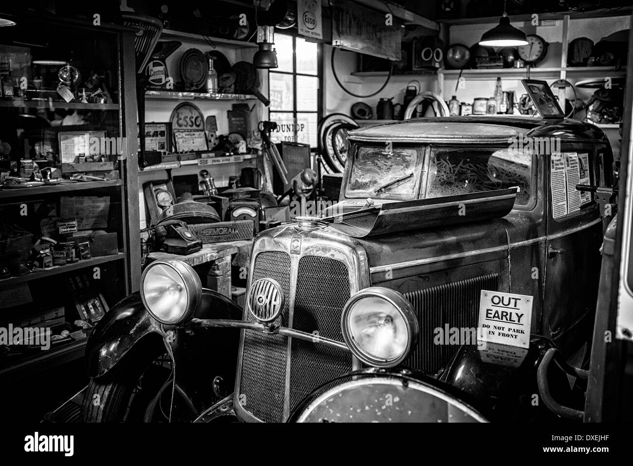 Swallow Black and White Stock Photos & Images - Alamy