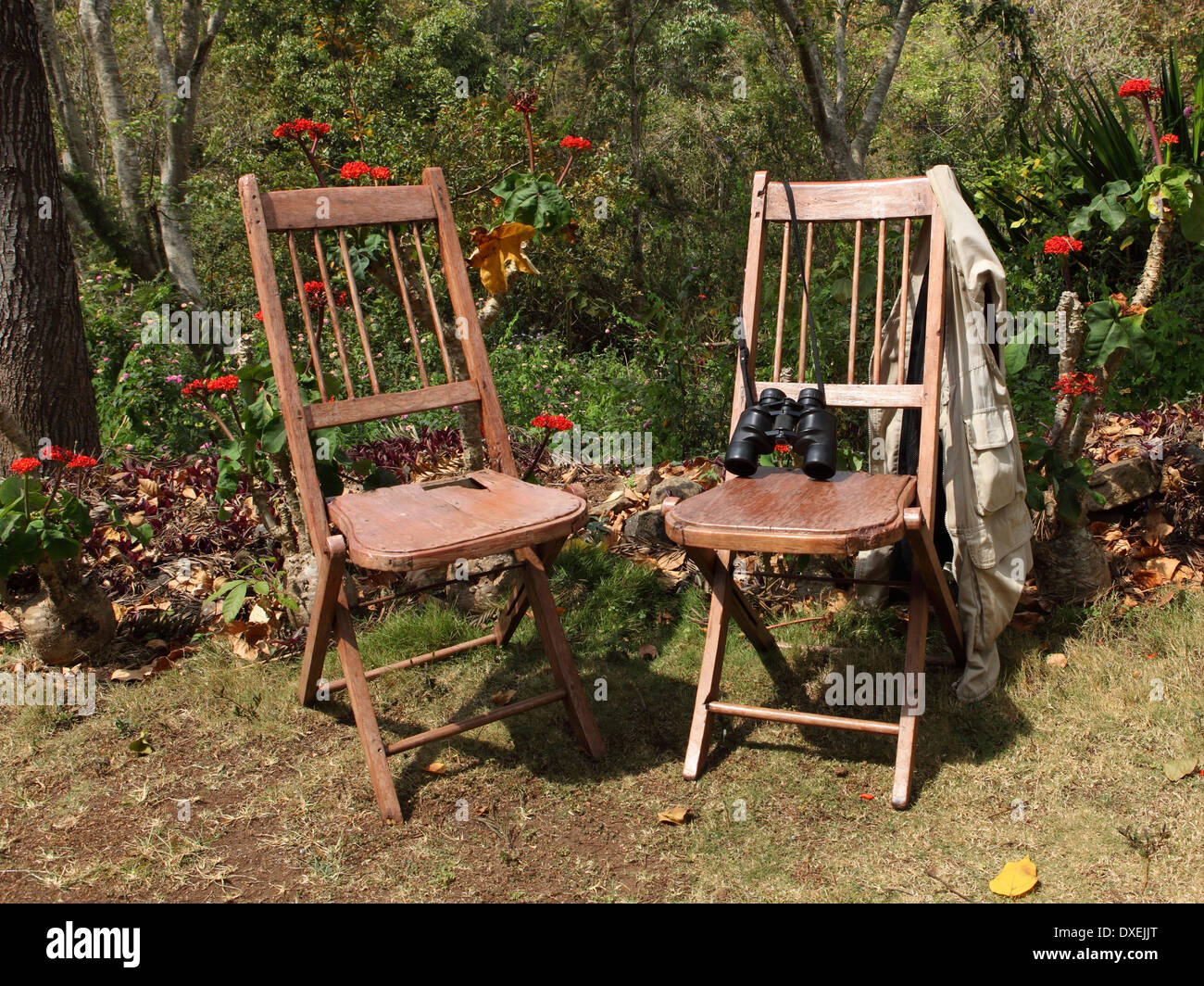 Rustic garden wooden chairs hi-res stock photography and images - Alamy