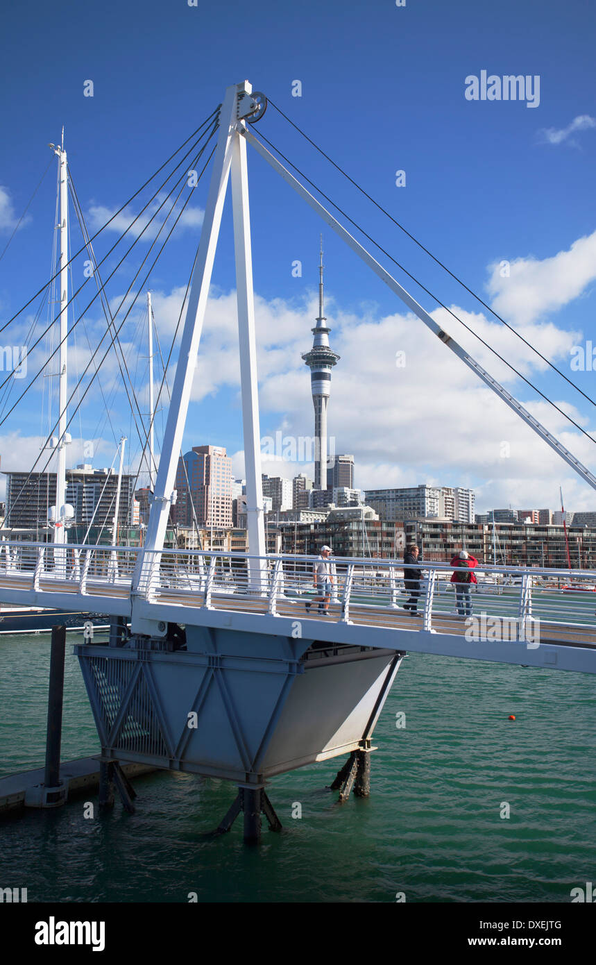 Viaduct Harbour and Wynyard Bridge, Auckland, North Island, New Zealand ...