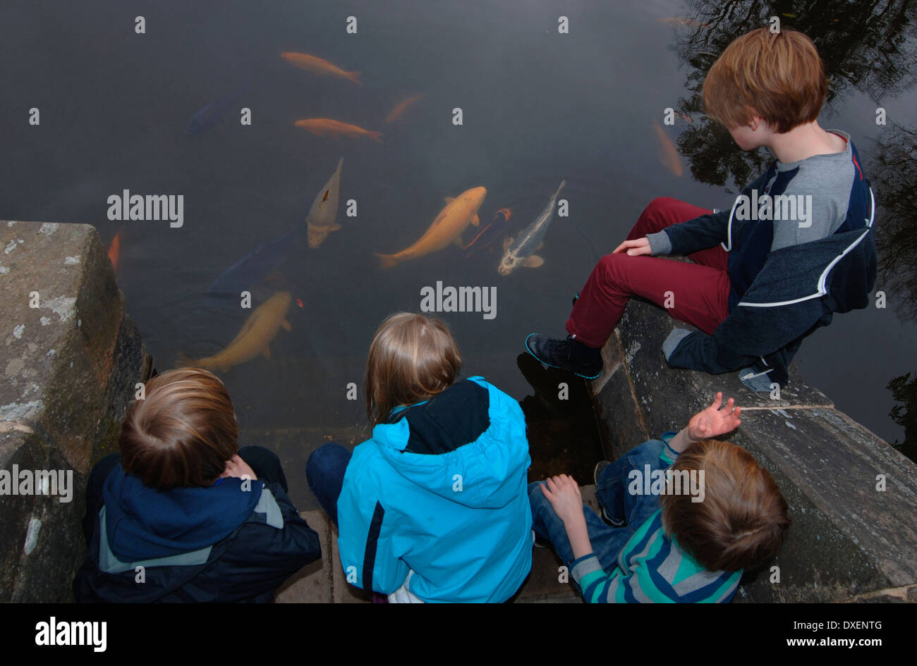 Curiocity hi-res stock photography and images - Alamy