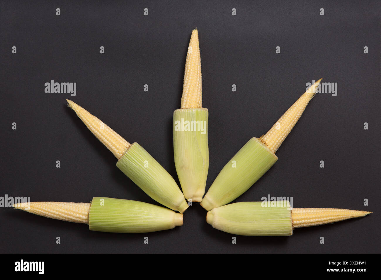 Fresh raw baby corn cobs on gray background Stock Photo - Alamy