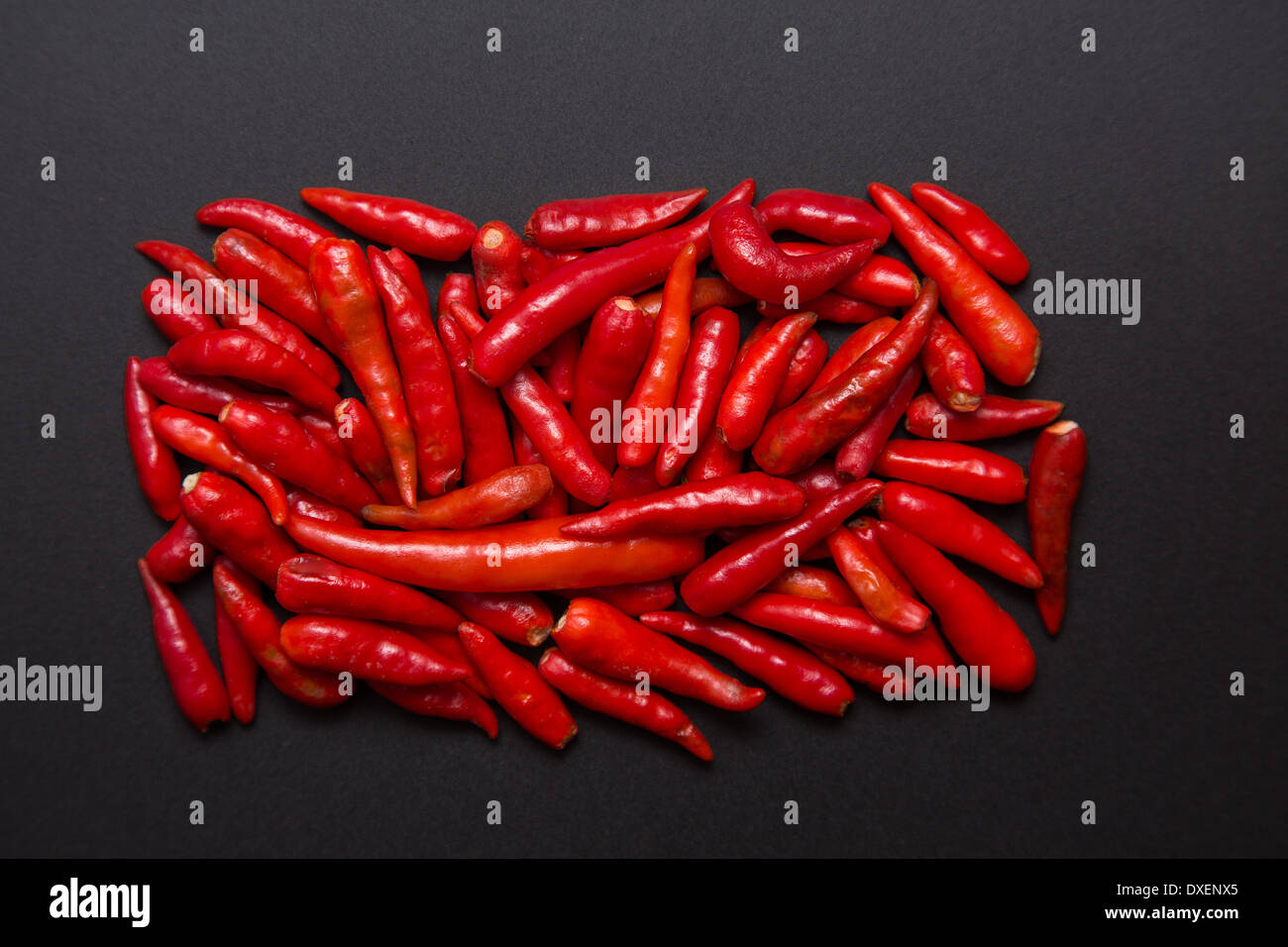 Bird eating chilli pepper hi-res stock photography and images - Alamy