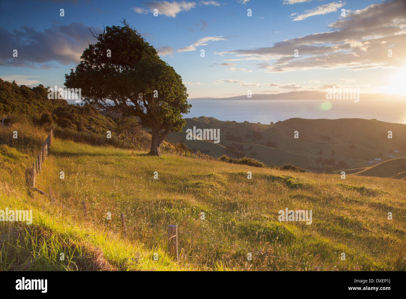 Firth Of Thames High Resolution Stock Photography and Images - Alamy