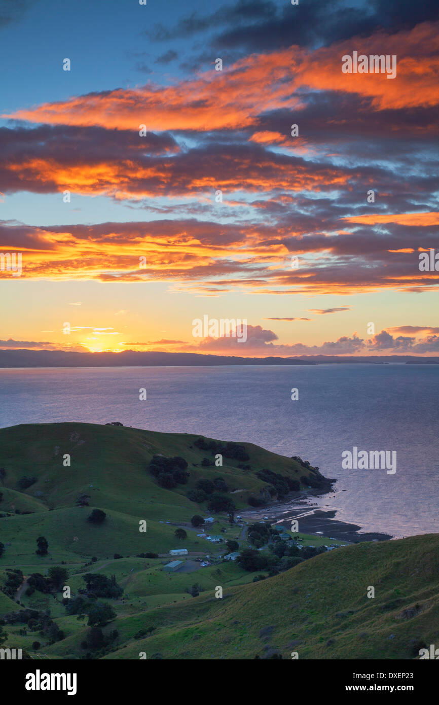 View of Kirita Bay and Firth of Thames at sunset, Coromandel Peninsula ...