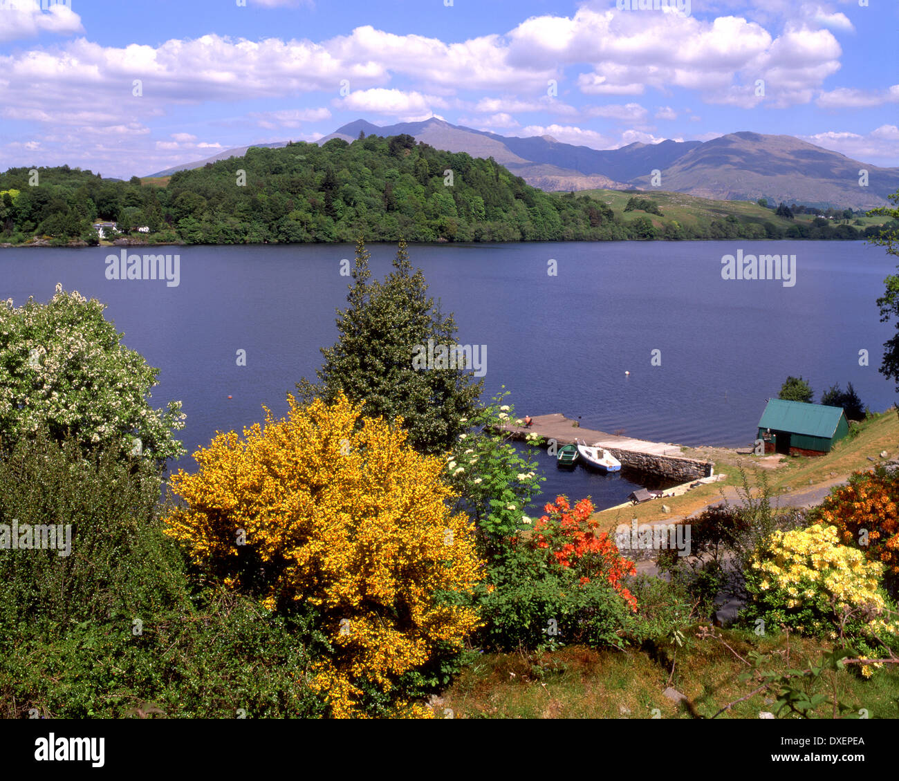 loch awe in springtime near Portsonachan Argyll Stock Photo - Alamy