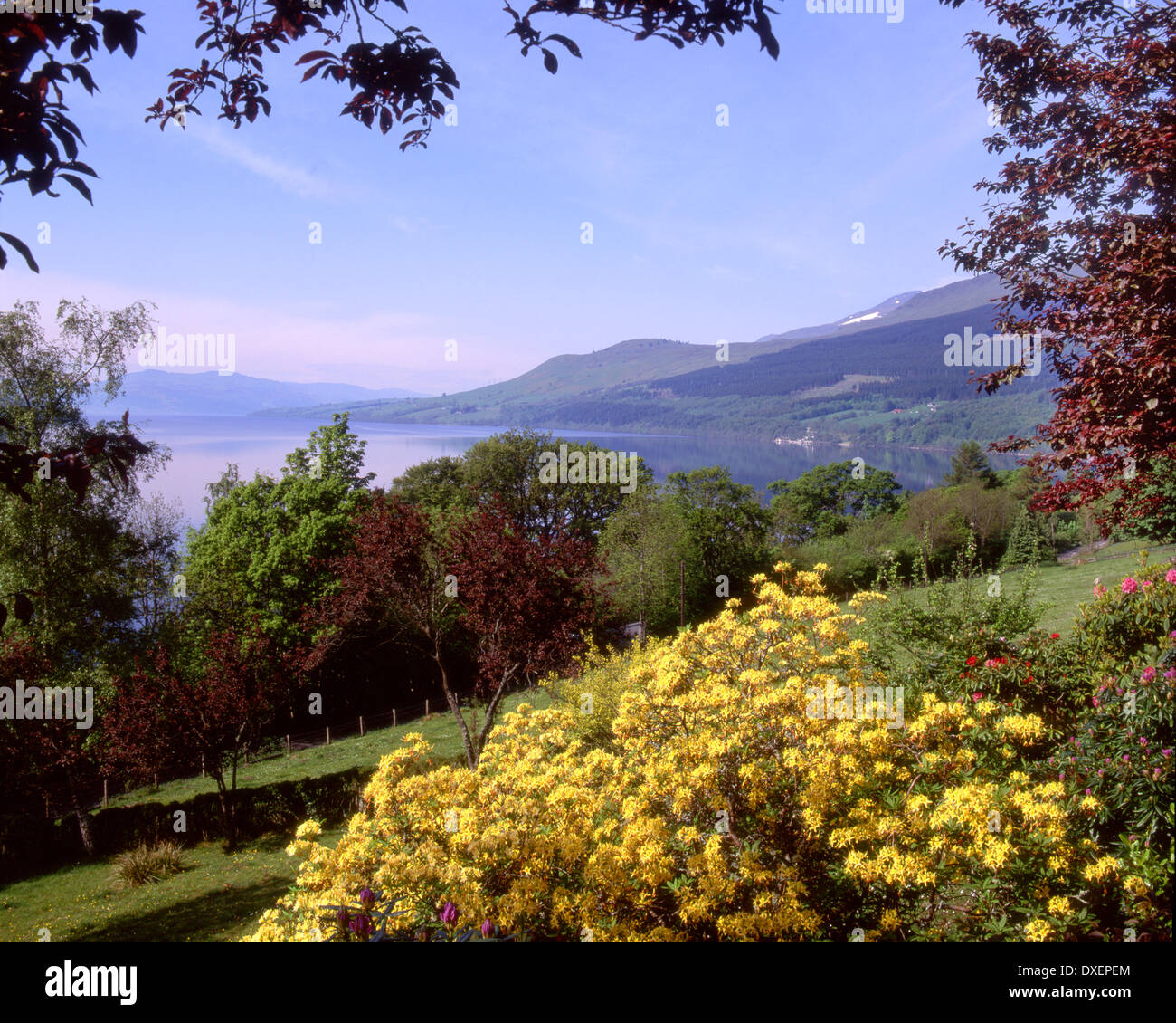 Spring loch tay hi-res stock photography and images - Alamy
