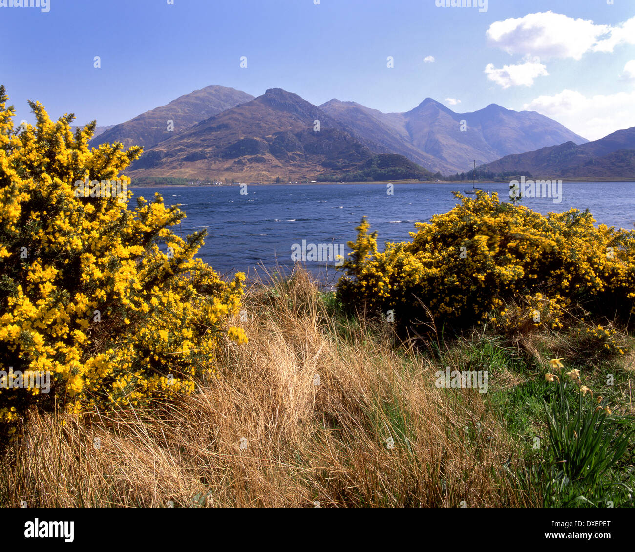 The five sisters of kintail across loch Duich north west highlands ...