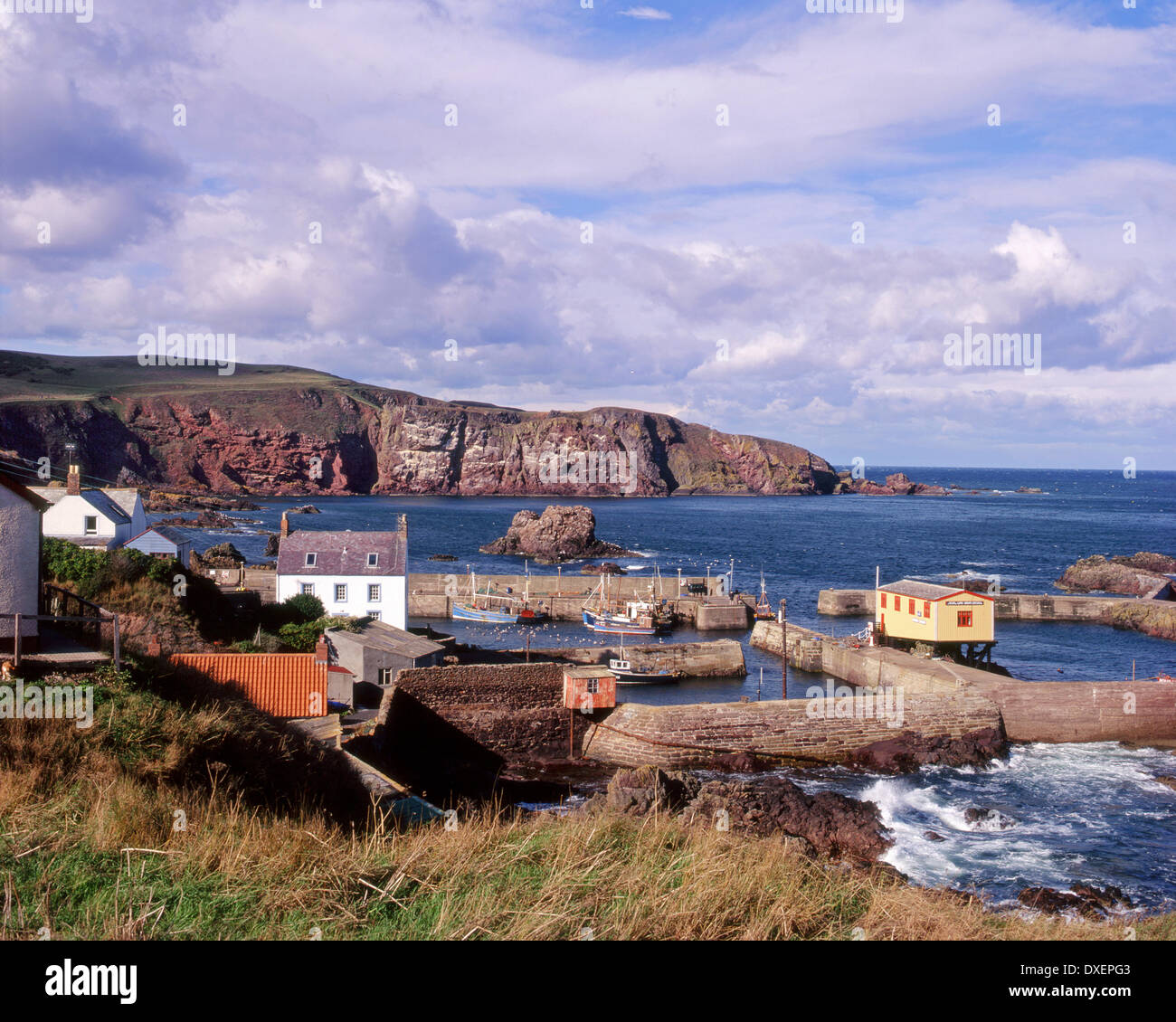 St abbs saint abbs harbour hi-res stock photography and images - Alamy