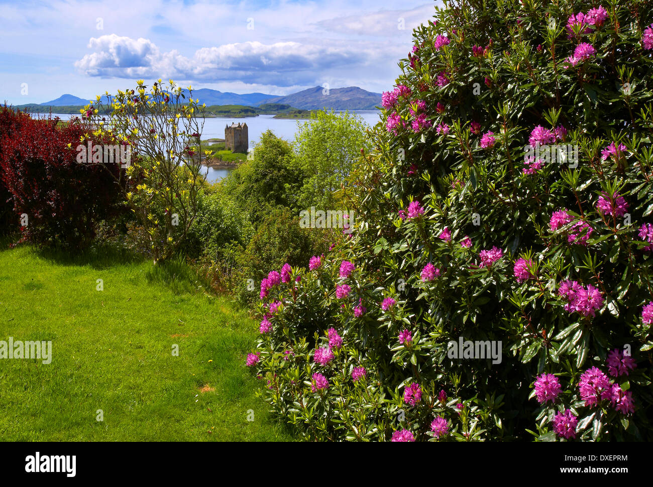 Castle Stalker, Appin, Argyll Stock Photo - Alamy
