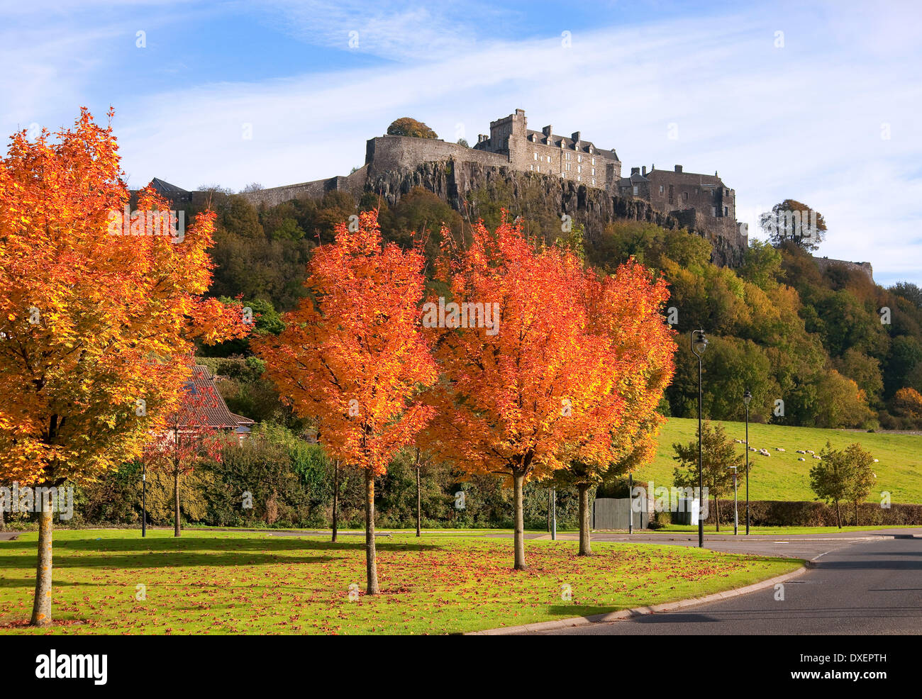 Autumn view of stirling castle hi-res stock photography and images - Alamy