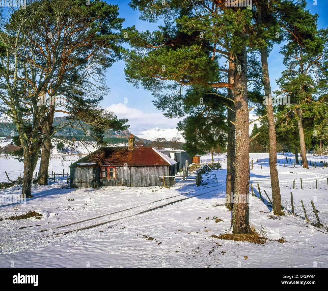 Strathmashie village hi-res stock photography and images - Alamy