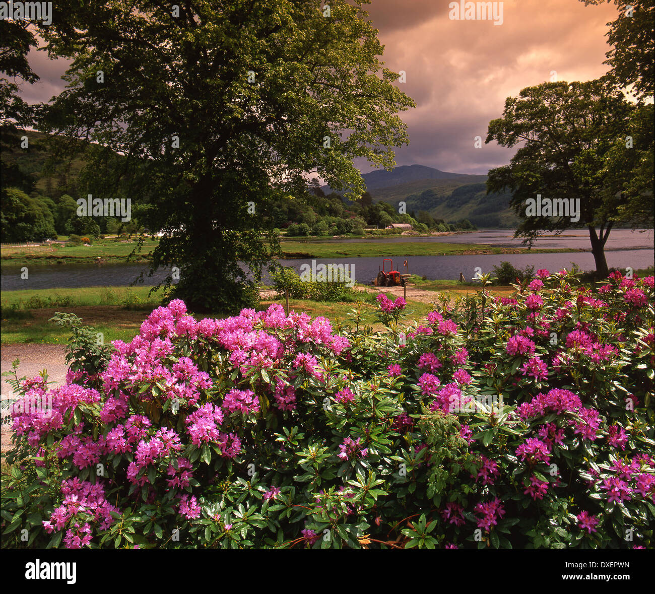 Loch sunart scotland strontian hi-res stock photography and images - Alamy
