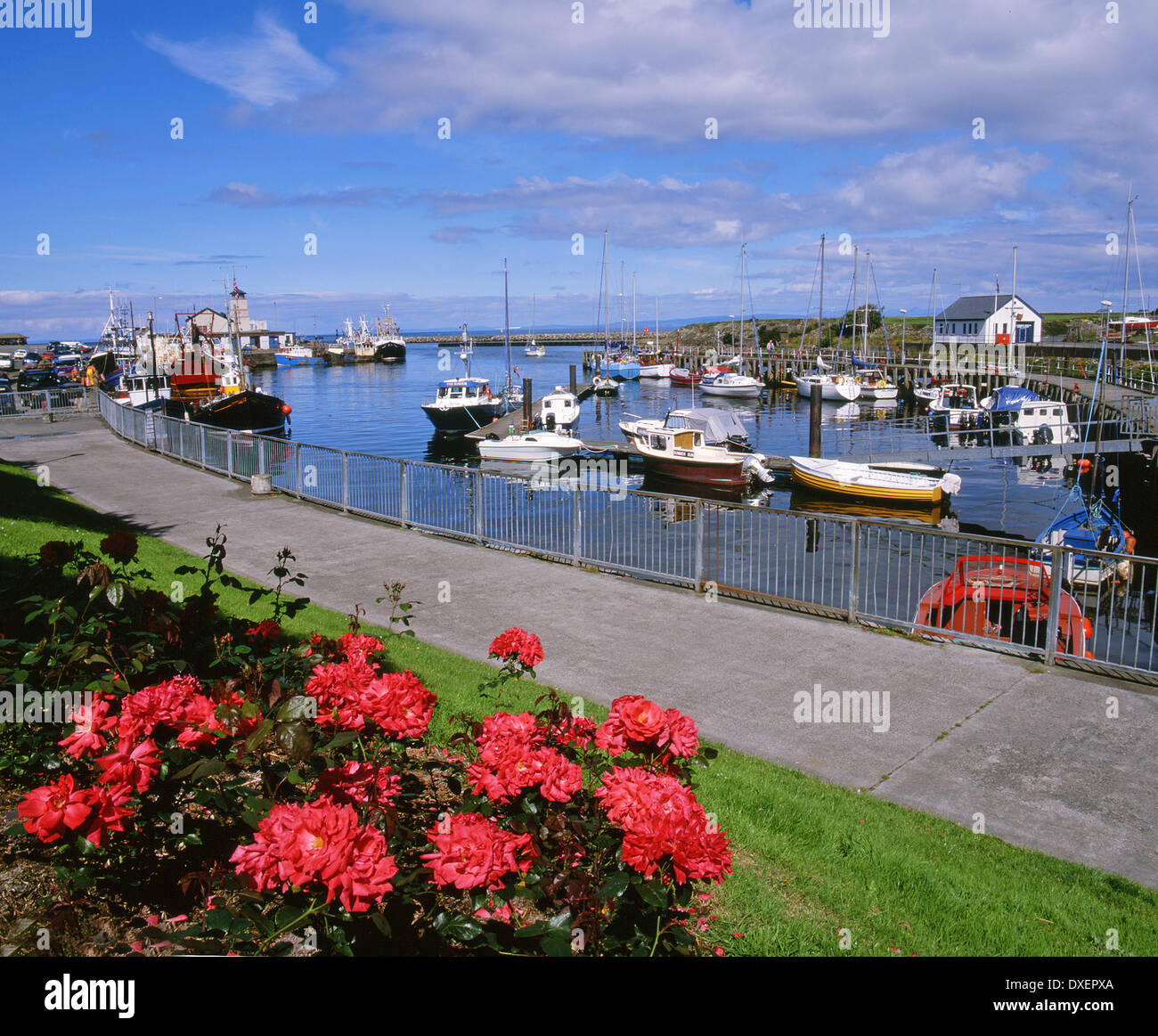 Of girvan hi-res stock photography and images - Alamy